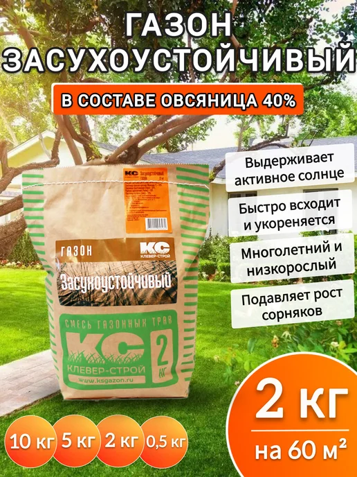 Газонная трава семена Засухоустойчивый 2 кг KSGAZON