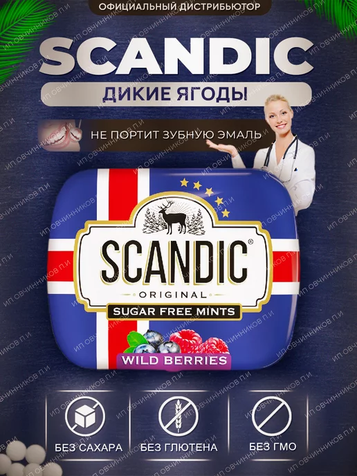 SCANDIC: купить товары бренда в интернет-магазине Wildberries